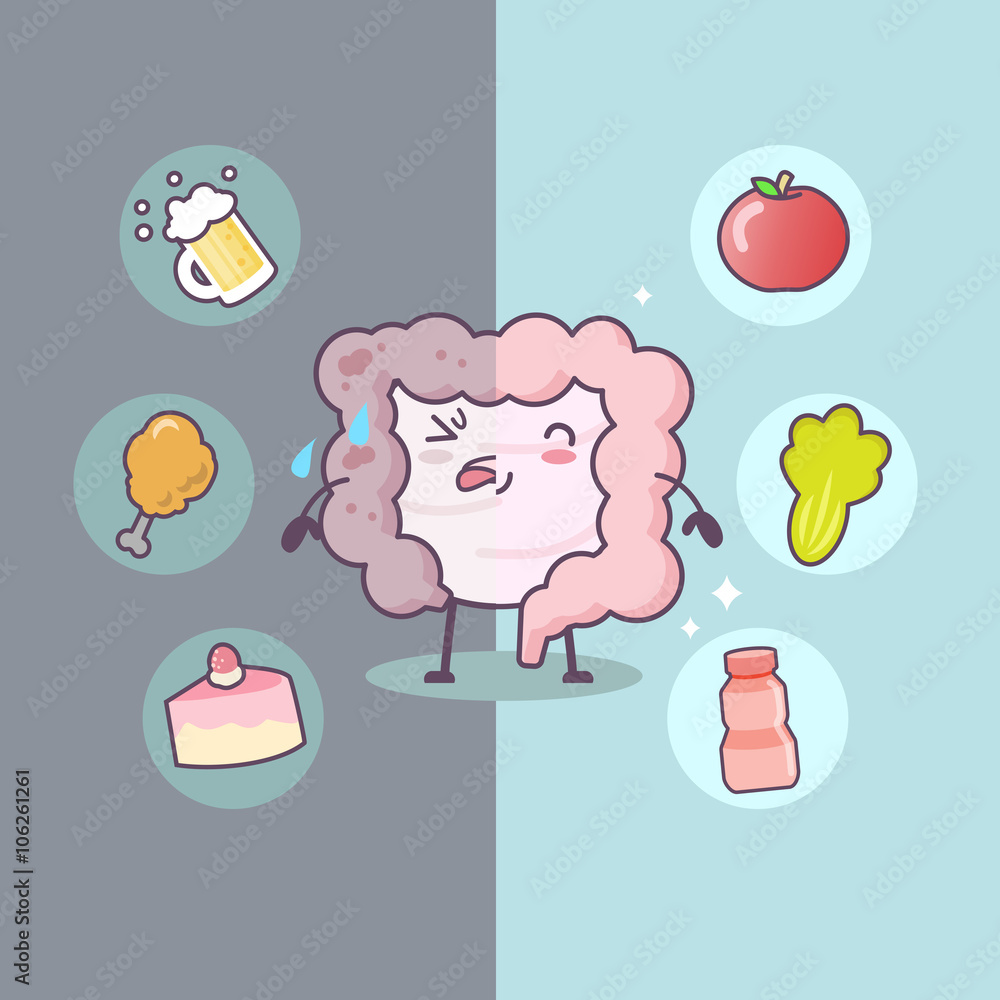 cartoon Healthy and unhealthy intestine Stock Vector | Adobe Stock