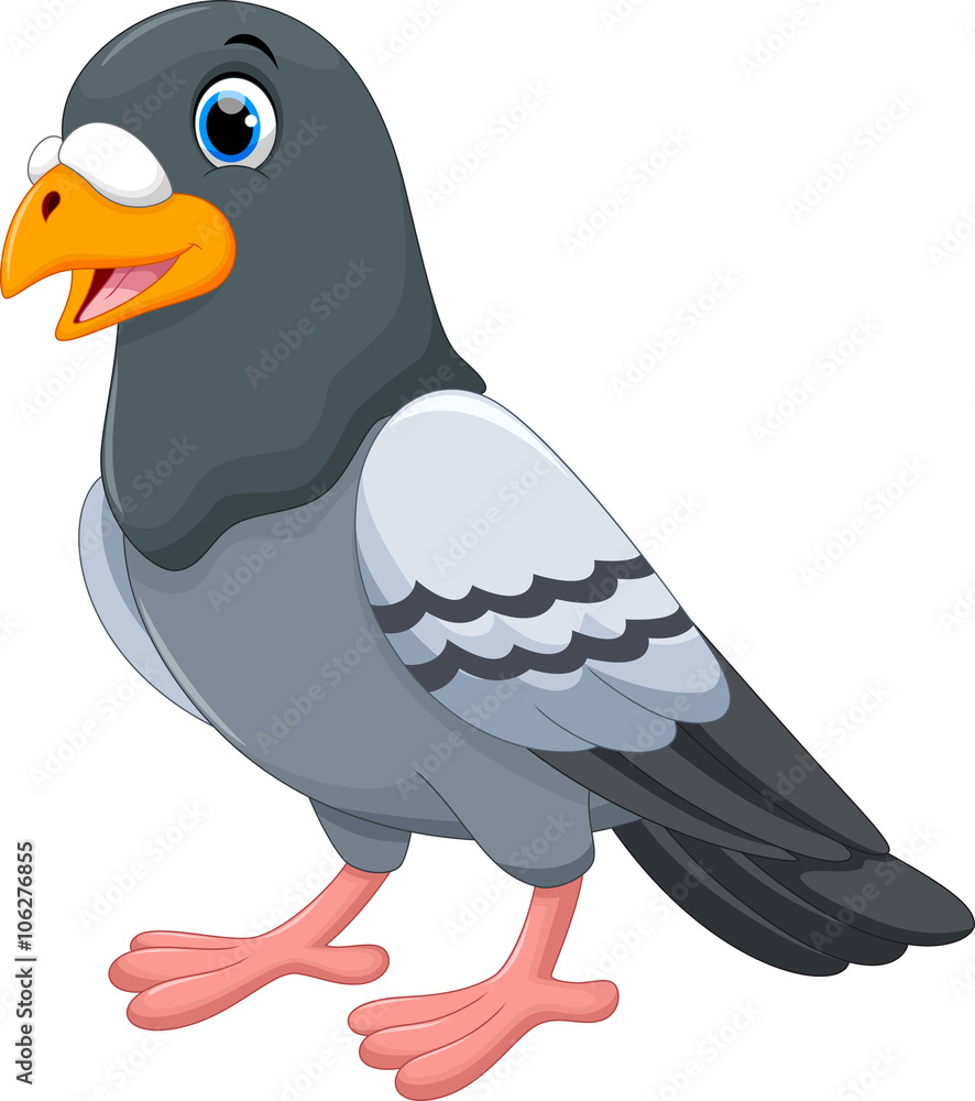 Vector illustration of pigeon cartoon isolated on white background ...