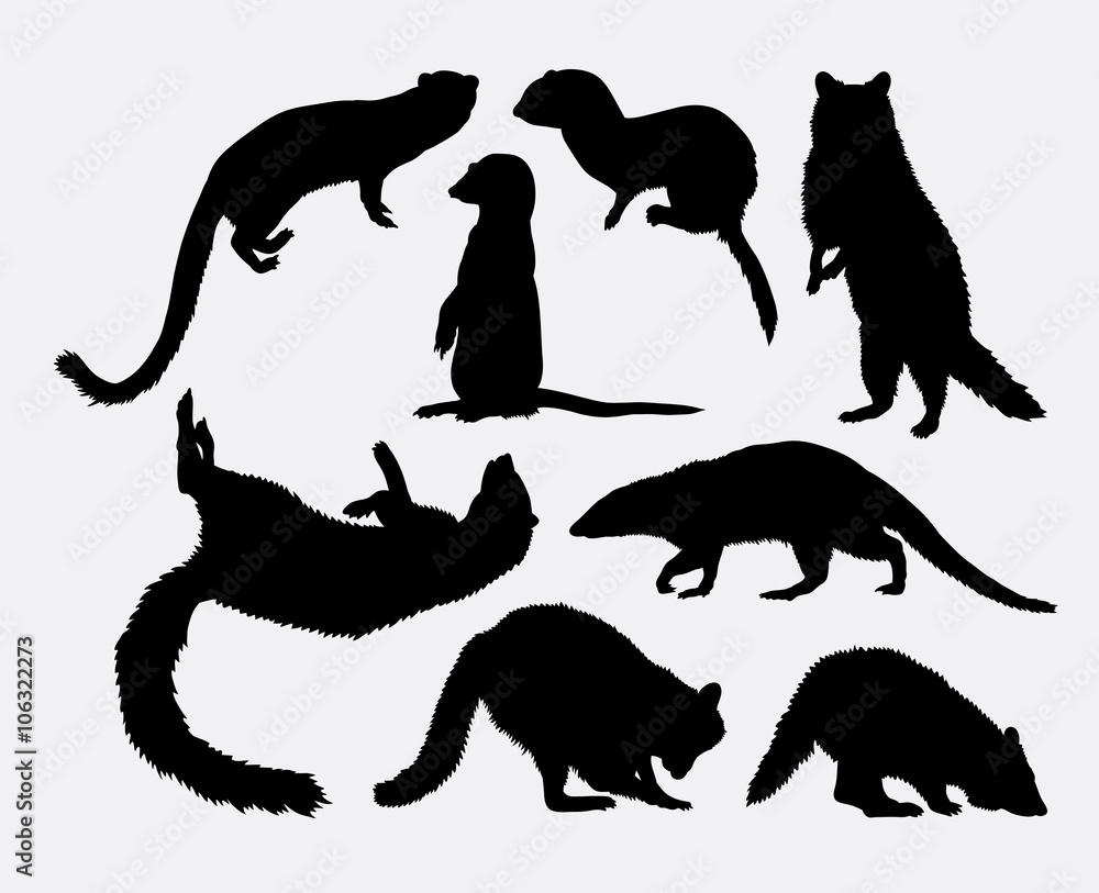 mongoose and racoon cute mammal animal. Good use for symbol, logo, web ...