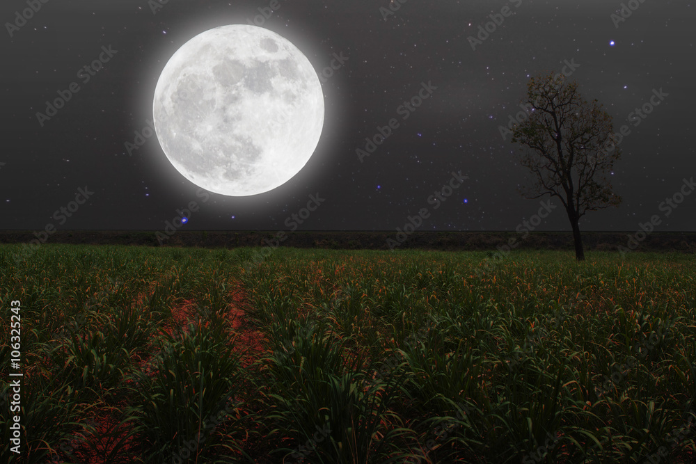 Full moon with stars over field on darkness sky. Stock Photo | Adobe Stock