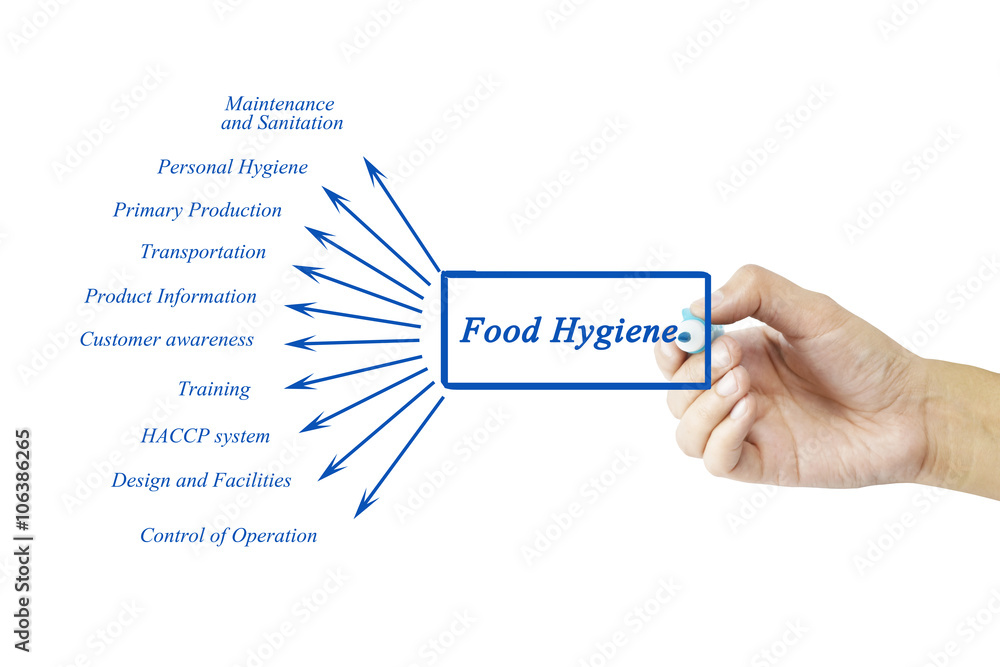Women hand writing element of Food Hygiene Principle concept for ...