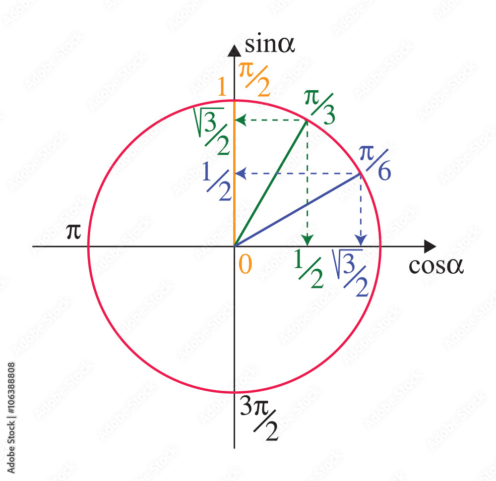 Trigonometric unit circle Stock Vector | Adobe Stock