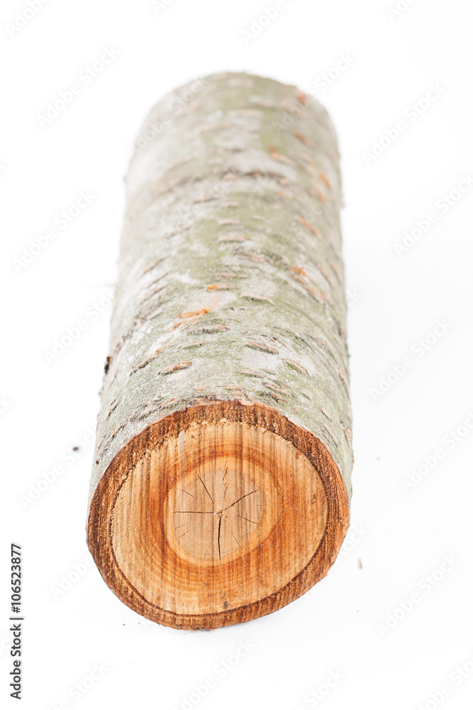 Isolated cherry tree round log on white background Stock Photo | Adobe ...