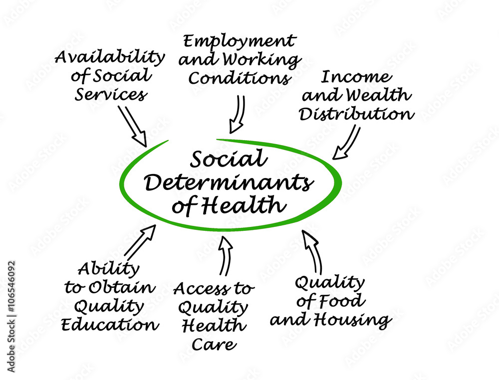 Social Determinants Of Health Stock Illustration Adobe Stock