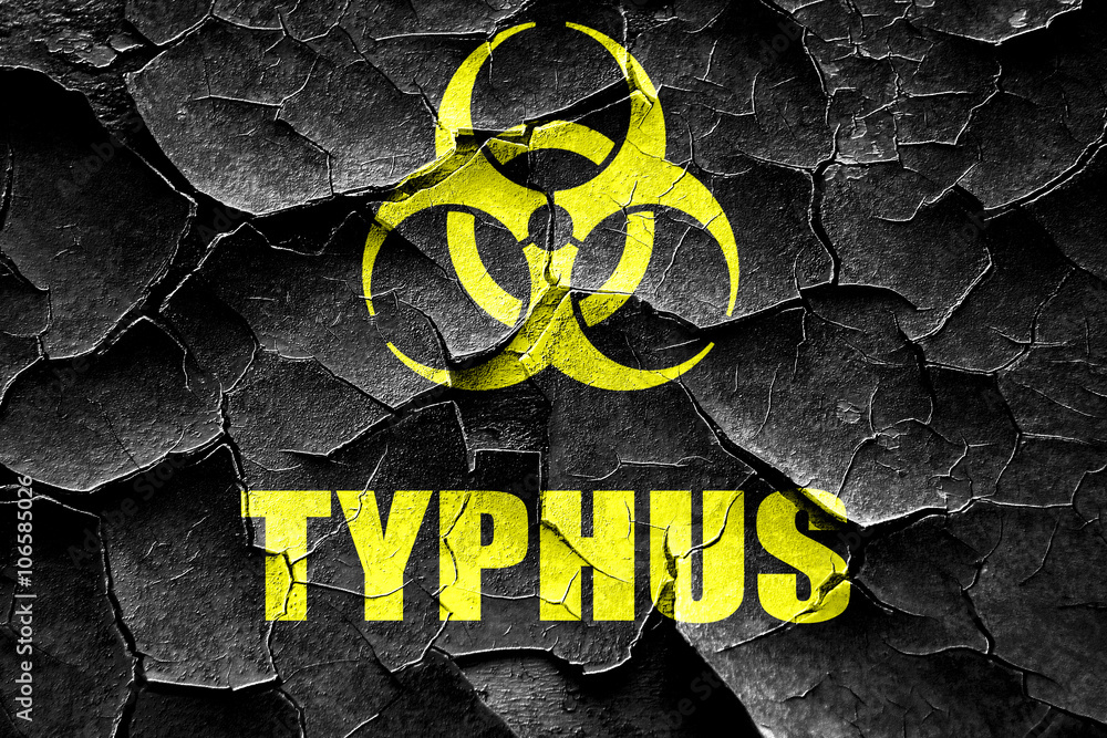Grunge cracked Typhus concept background Stock Illustration | Adobe Stock