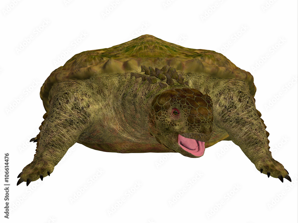 Proganochelys Turtle on White - Proganochelys is the second oldest ...