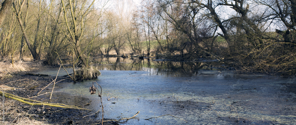 Swamps in autumn. Cool dark lake in primeval forest. Cold melancholic ...