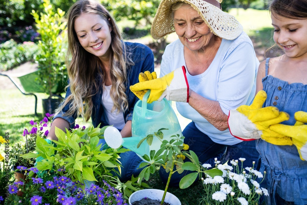 Multi-generation family gardening in the park Stock Photo | Adobe Stock
