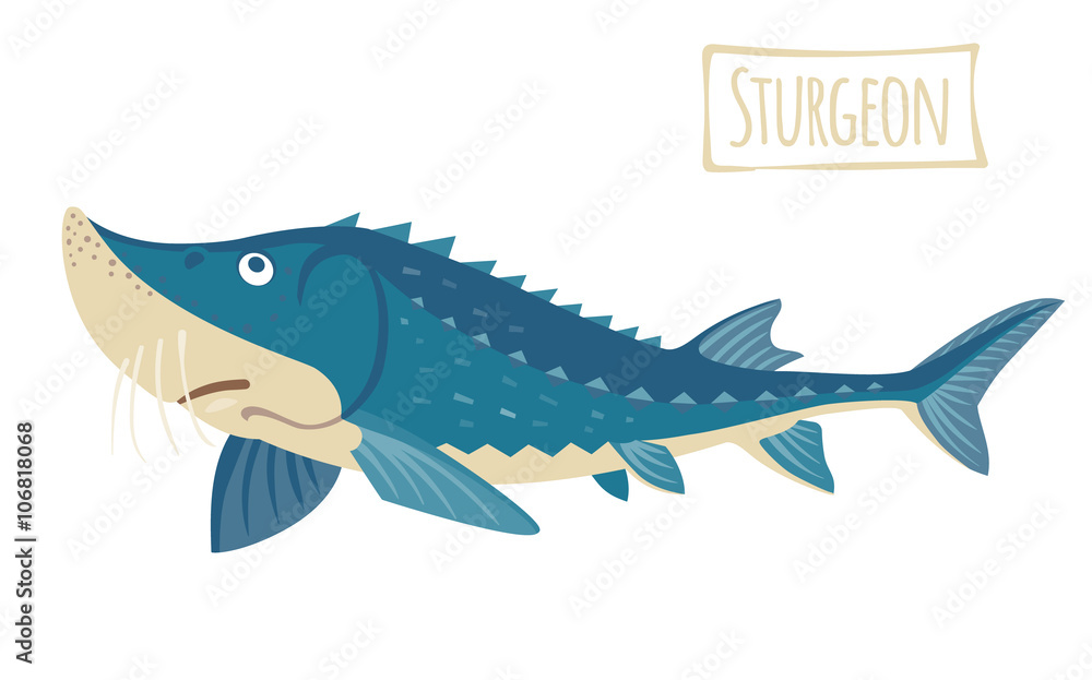 Sturgeon, vector cartoon illustration Stock Vector | Adobe Stock