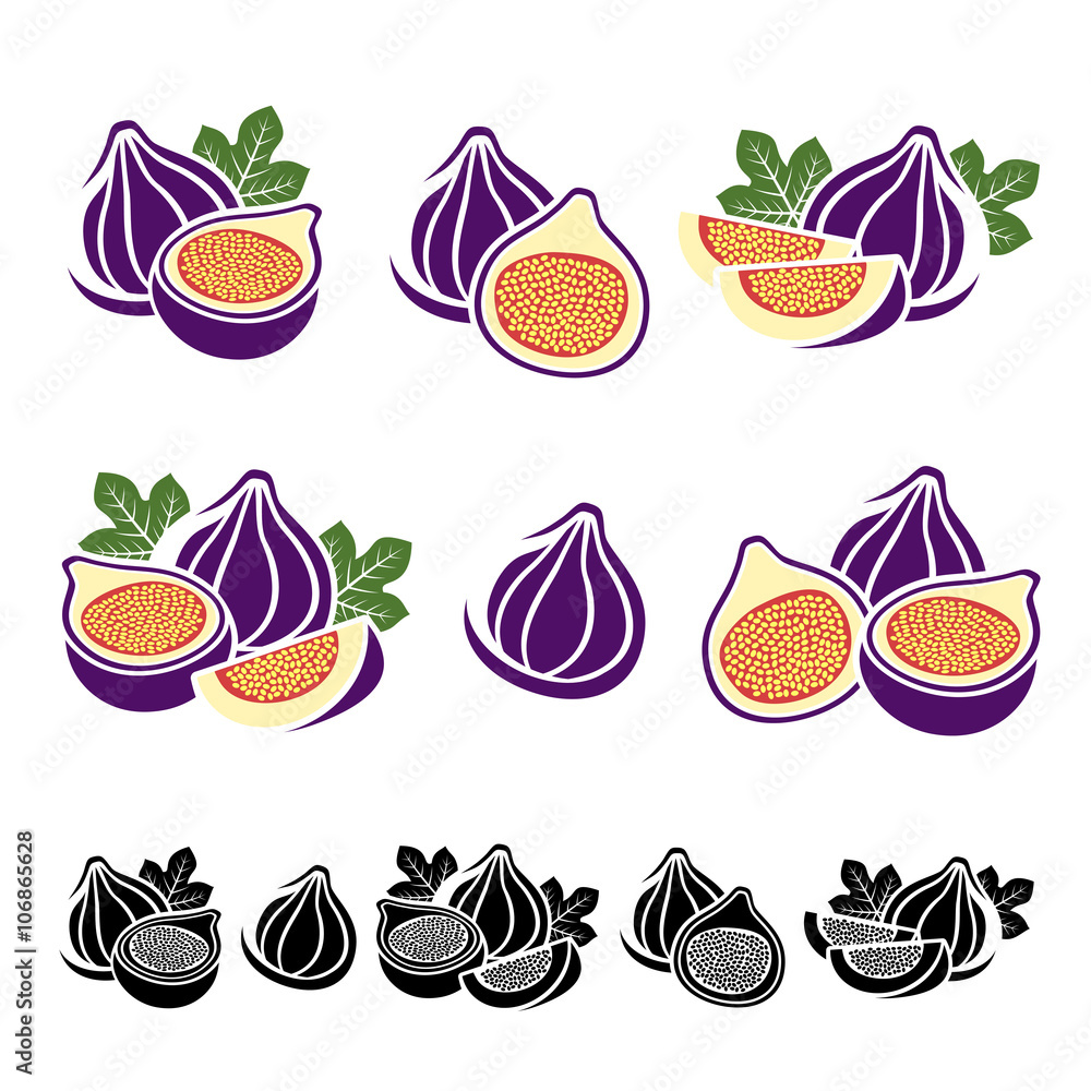 Figs set. Vector Stock Vector | Adobe Stock