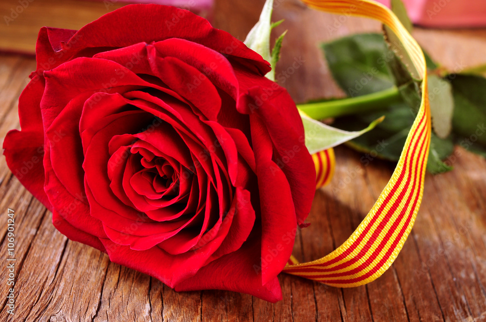 rose with the Catalan flag and books, for Saint Georges Day foto de ...