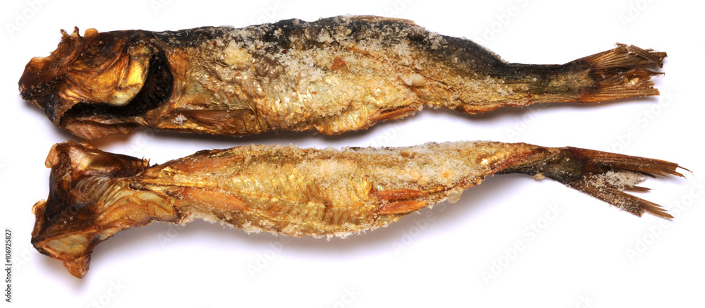 Clupea harengus Atlantischer Hering Sleď obecný Śledź oceaniczny Sild ... Clupea harengus Atlantischer Hering Sleď obecný Śledź oceaniczny Sild ...
