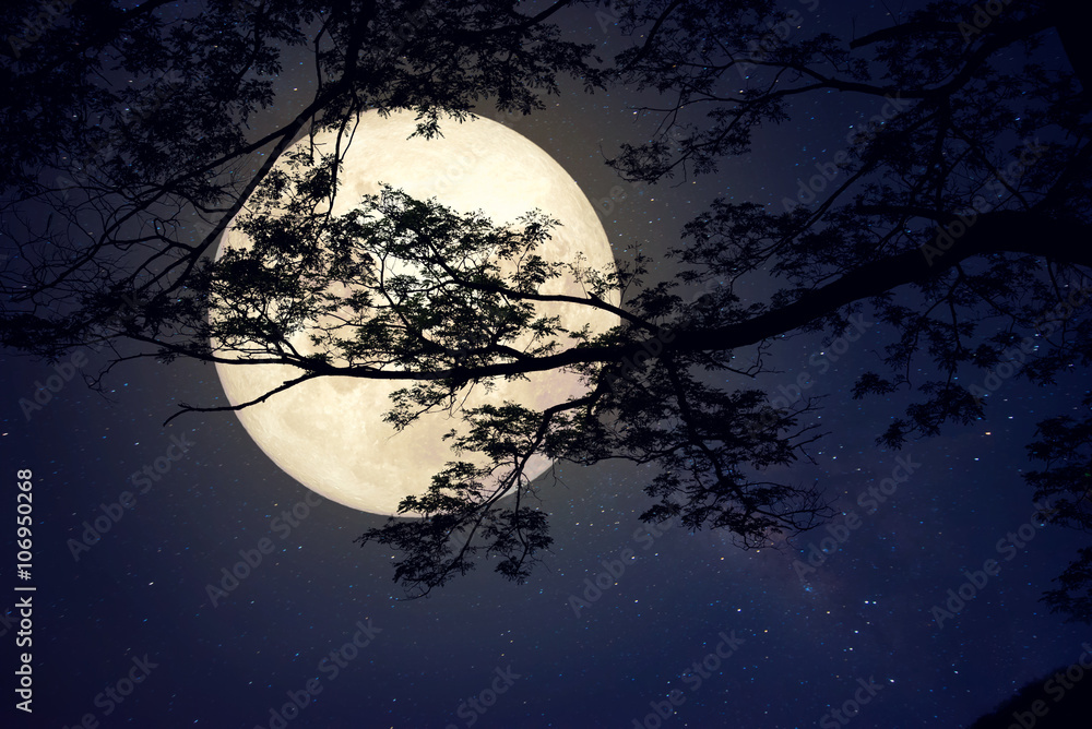 Milky Way star in night skies, full moon and old tree - Retro style ...