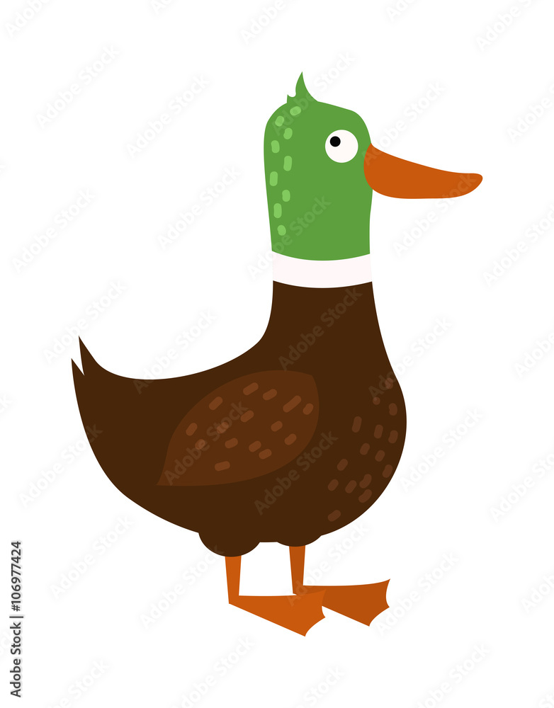 Cartoon duck farm animal character vector. Stock Vector | Adobe Stock