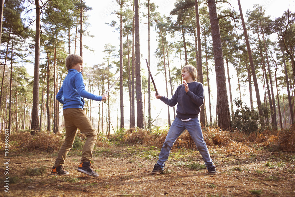Twin brothers play fighting with sticks in forest Stock Photo | Adobe Stock
