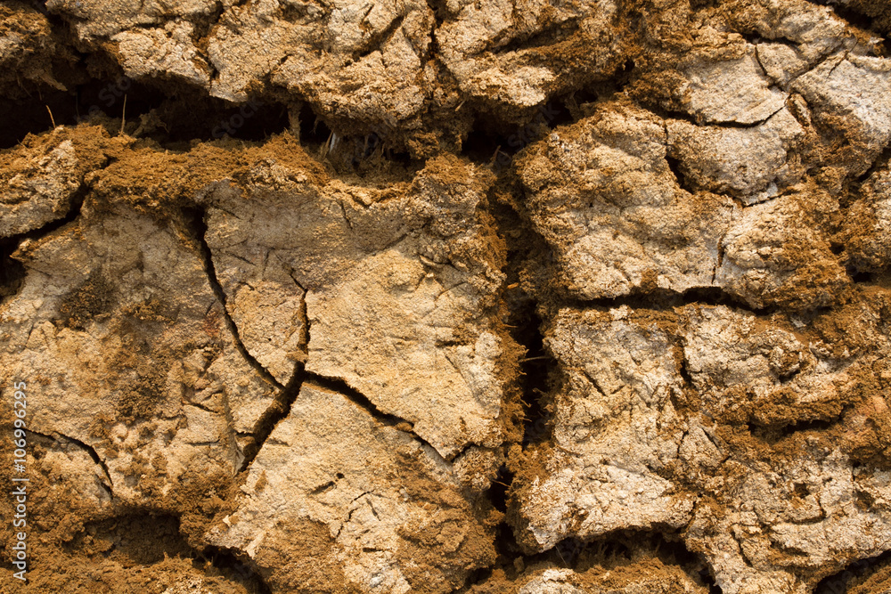 Soil erosion. Cracks. Stock Photo | Adobe Stock