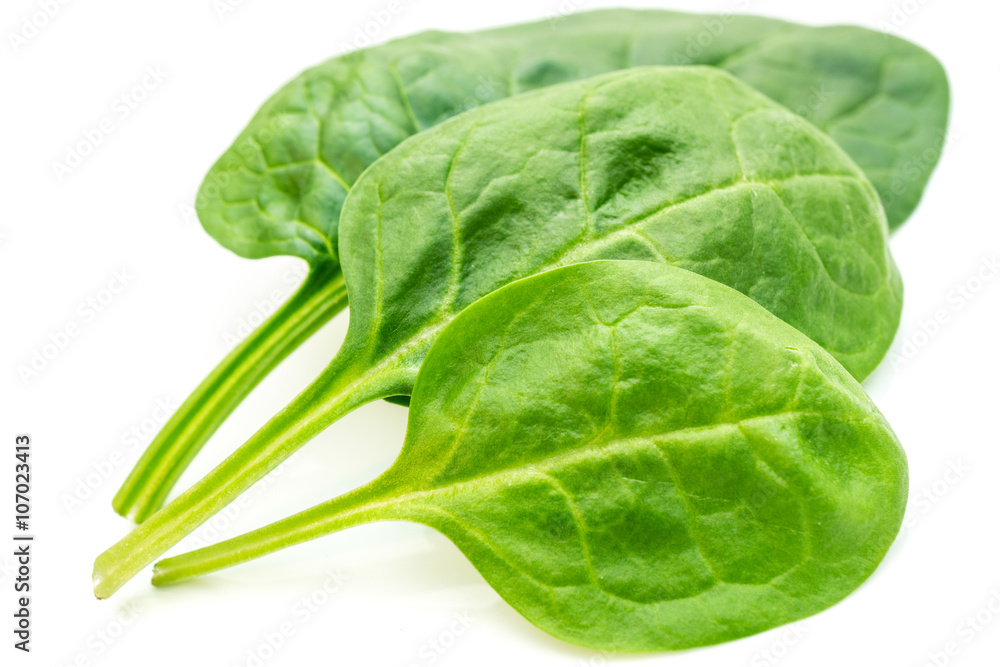 Blattspinat Stock Photo | Adobe Stock
