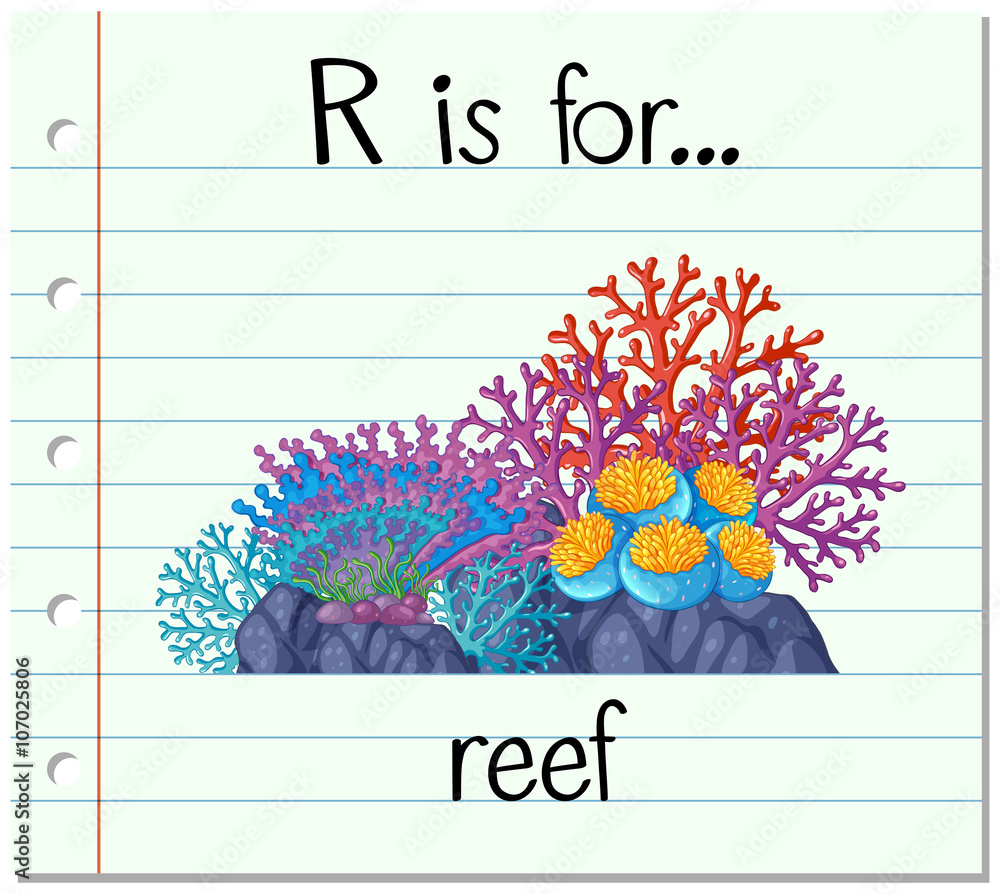 Flashcard letter R is for reef Stock Vector | Adobe Stock