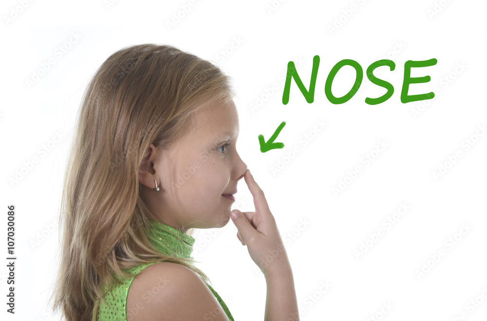 English Nose