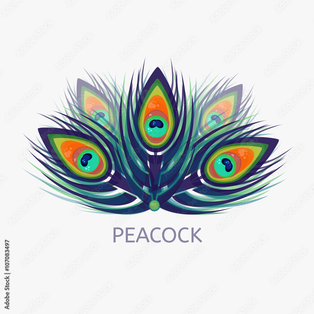 Peacock logo in low polygon style. Peacock vector logo and label for ...