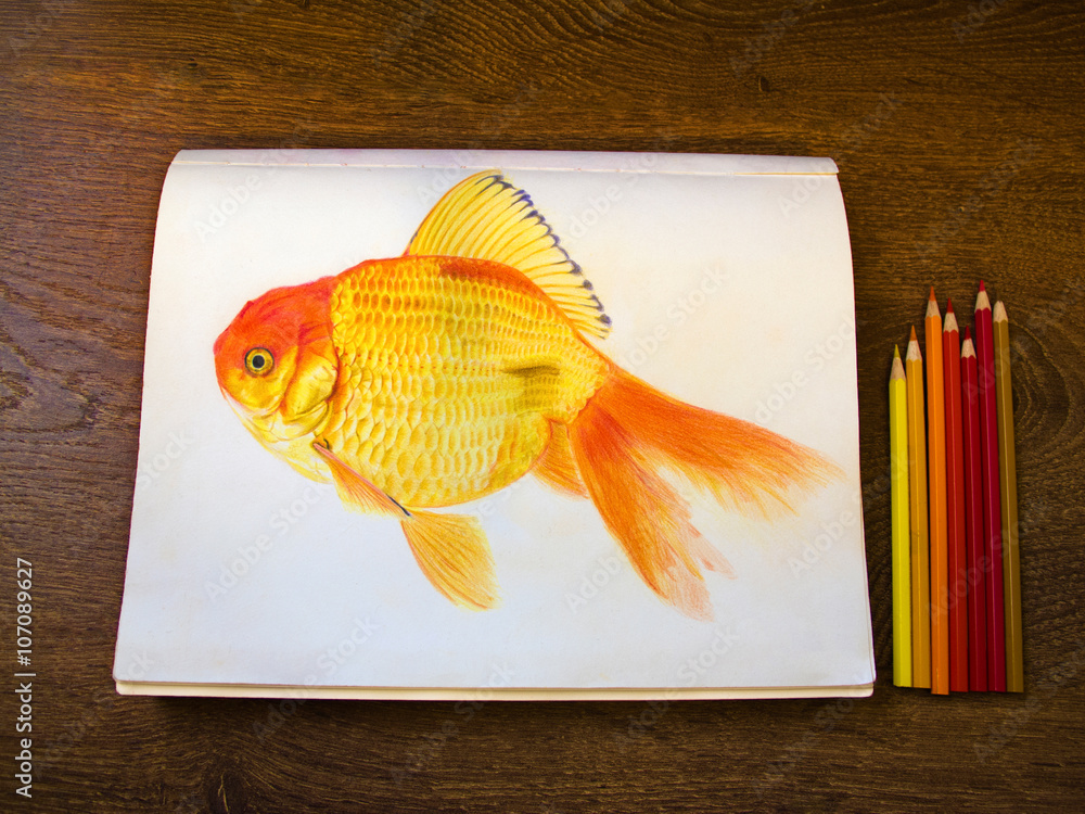 Colored Pencil Drawings Of Fish