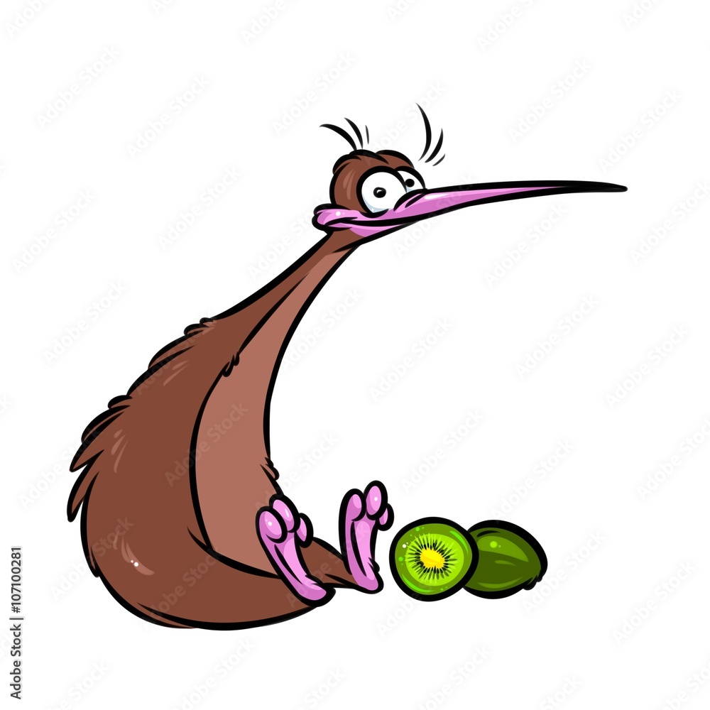 Kiwi Bird New Zealand cartoon illustration isolated image animal ...