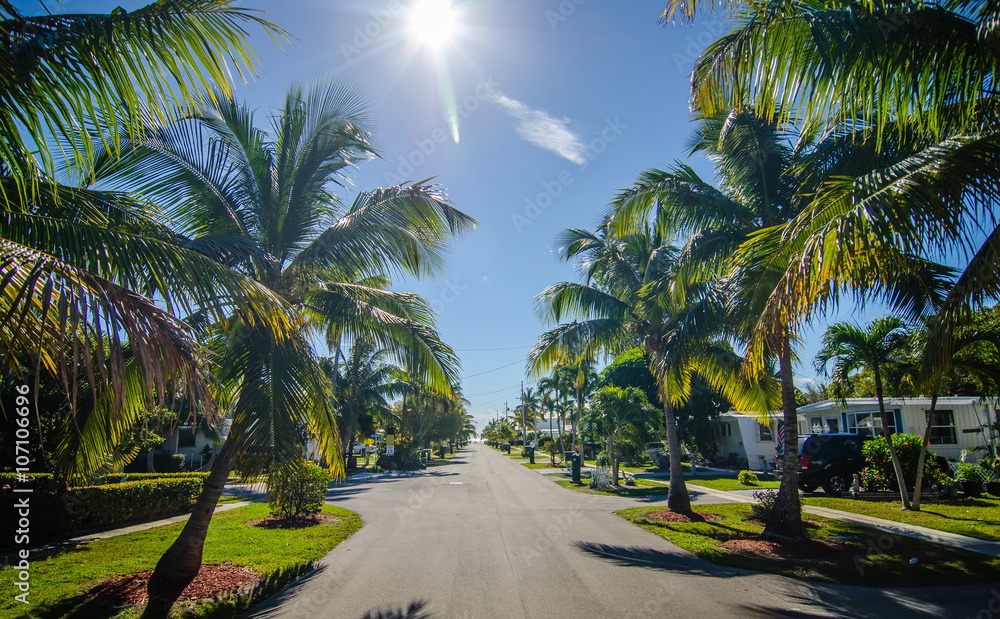way to the beach with palm trees in key west florida Stock Photo ...