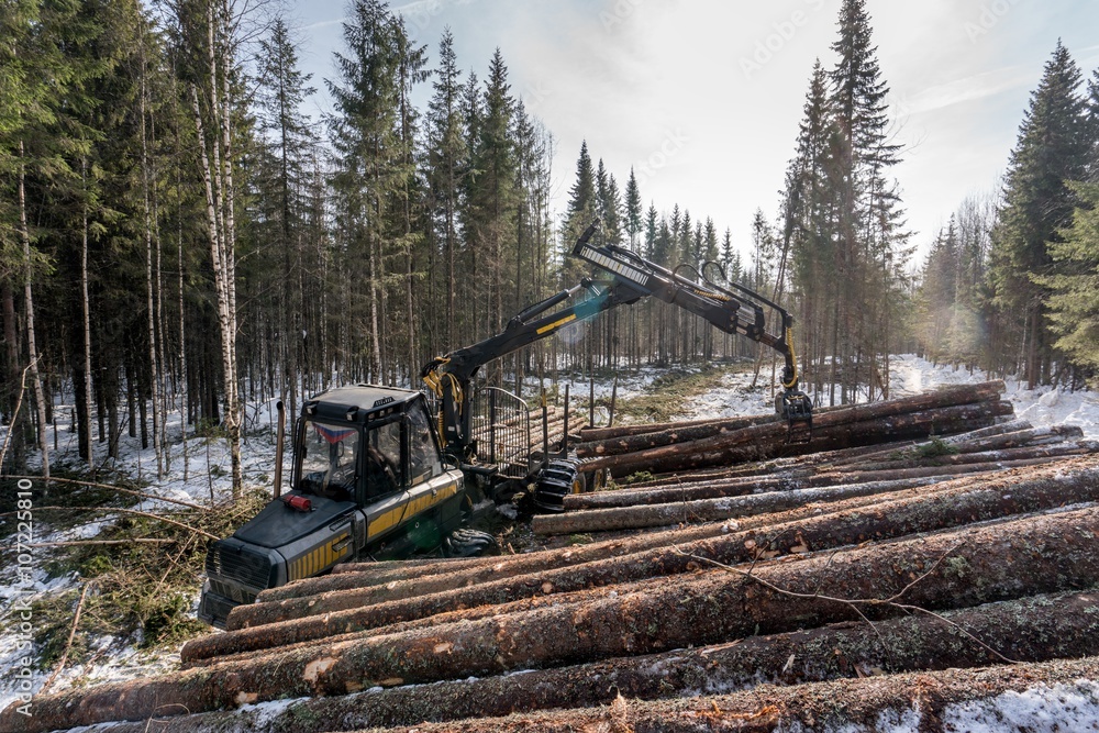 Forestry. Logger loads timber in winter woods Stock Photo | Adobe Stock