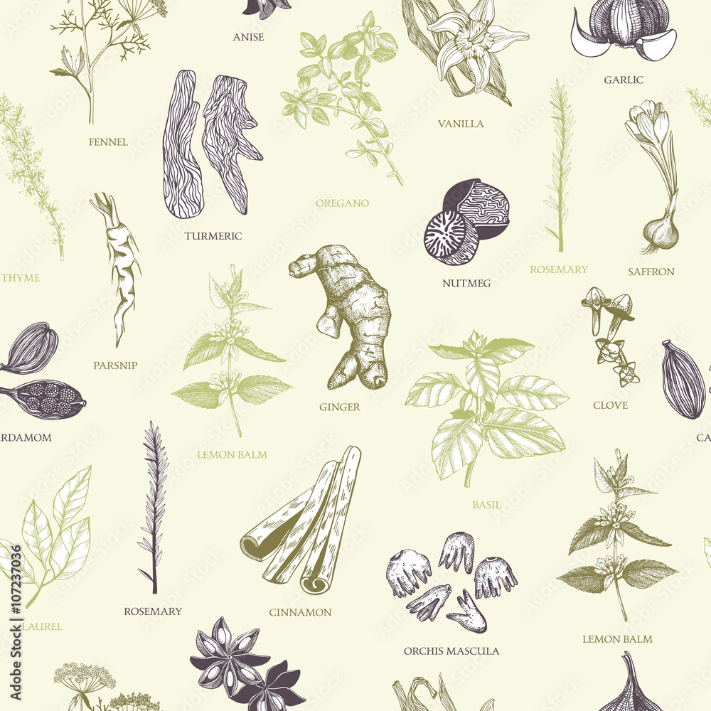 Vector seamless pattern with hand drawn spices and herb sketch. Vintage ...