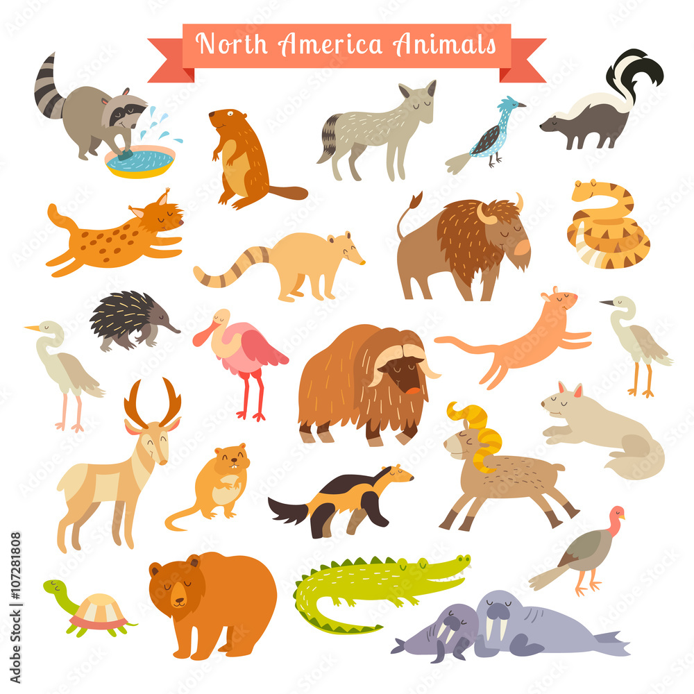North America animals vector illustration. Big vector set. Isolated on ...