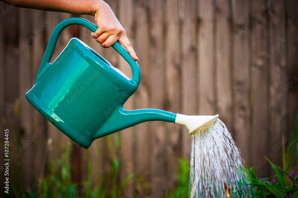 Watering Can Pouring Water