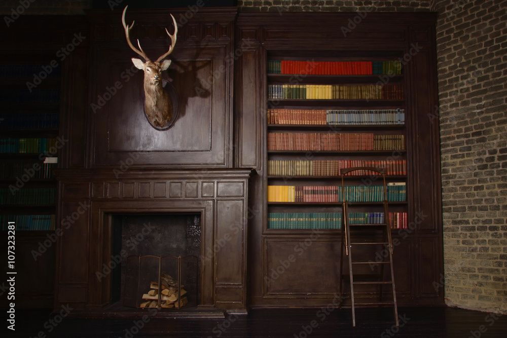 Photo & Art Print Classical library room in the victorian style, Demian