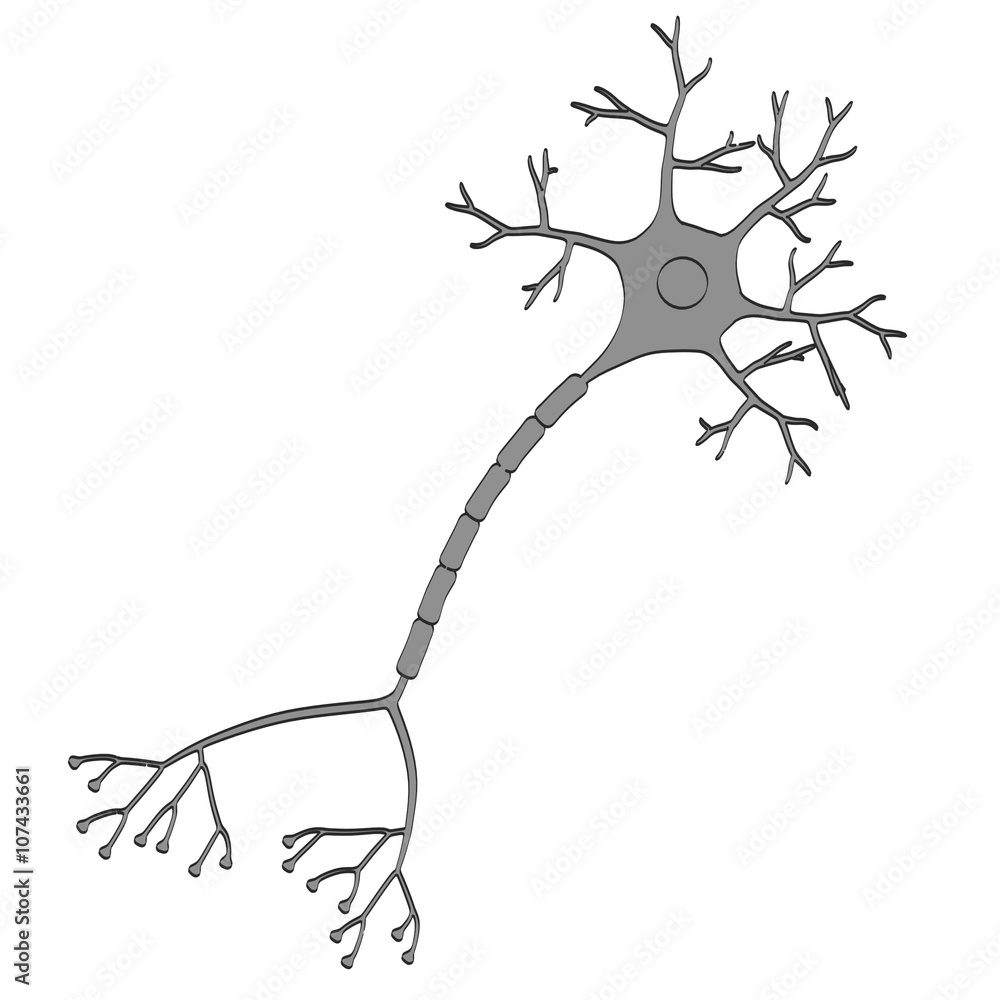 2d cartoon illustration of brain neuron Stock Illustration | Adobe Stock