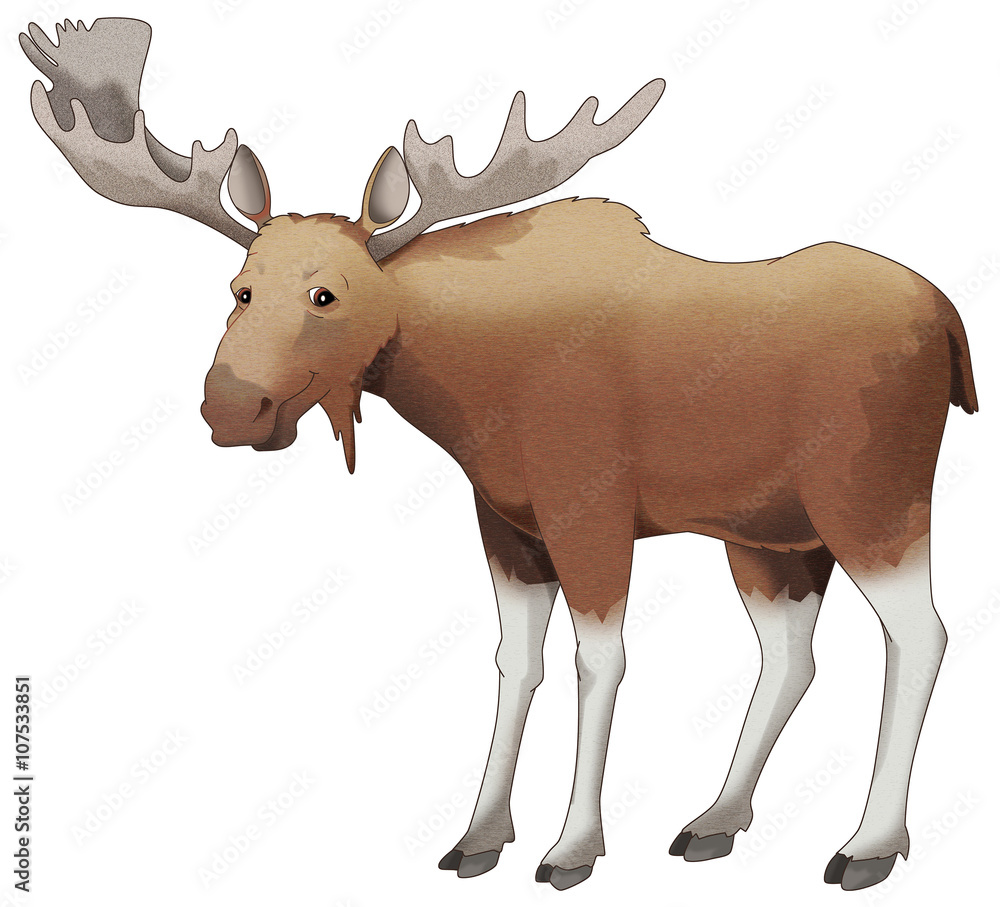 Cartoon animal - moose - isolated - illustration for children Stock ...