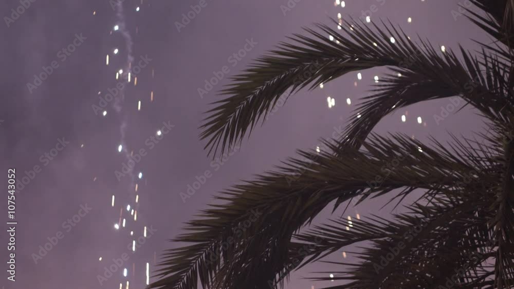 Palm tree in warm climate with fireworks exploding in background on ...