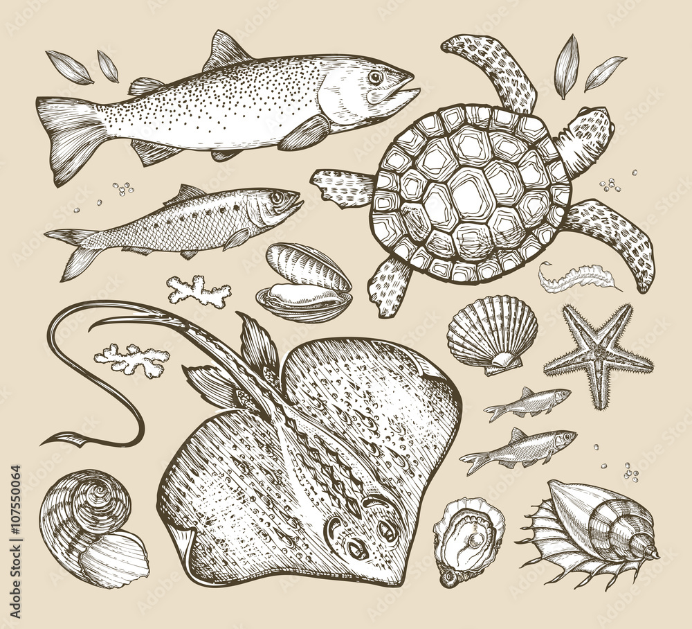 sea animals. hand-drawn sketches fish, trout, herring, turtle, stingray ...
