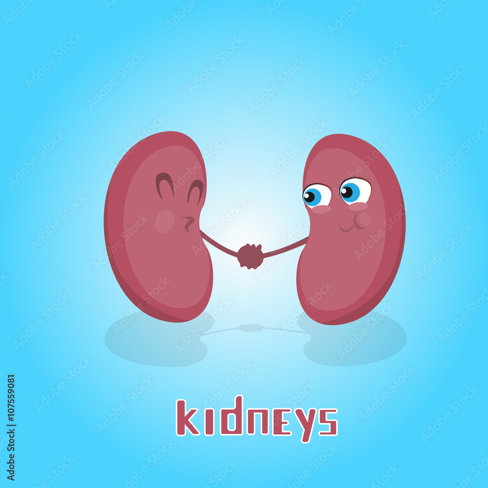 Kidneys Hold Hands Smiling Cartoon Character Icon Banner Stock Vector ...