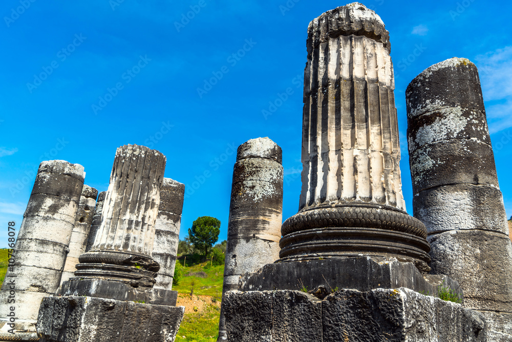Poster Greek Temple of Artemis near Ephesus and Sardis/Greek Temple of ...