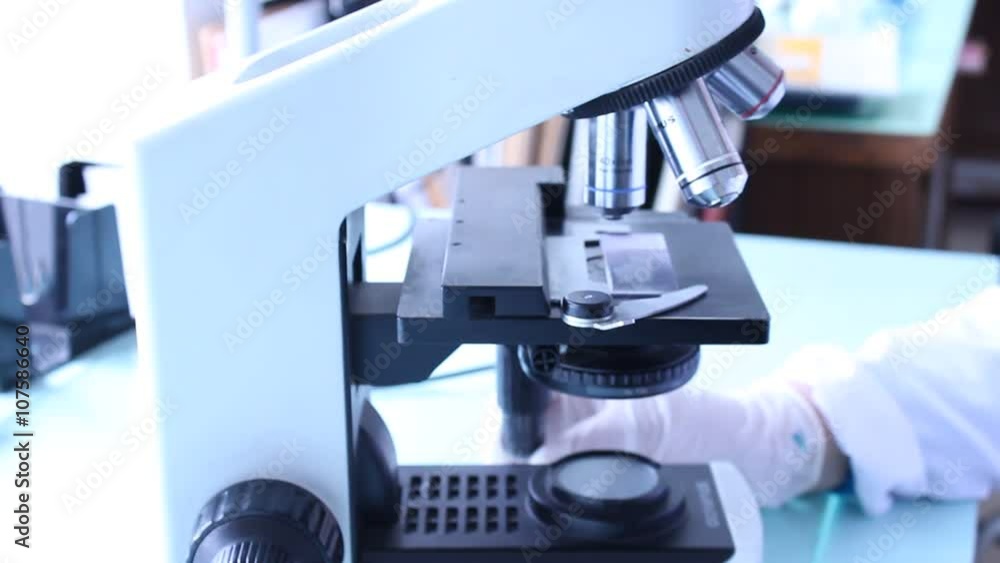 Working with a microscope. Lab microscope. Setting the microscope ...
