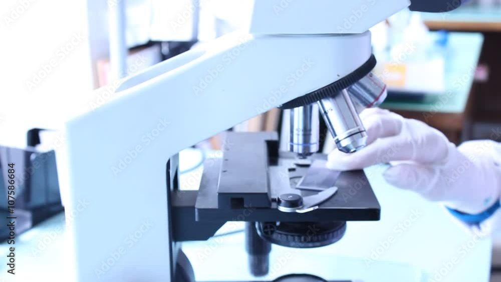 Working with a microscope. Lab microscope. Setting the microscope ...