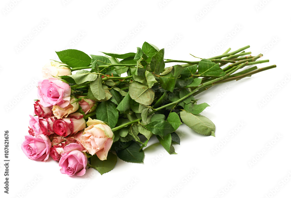 Pile of rose flowers isolated Stock Photo | Adobe Stock