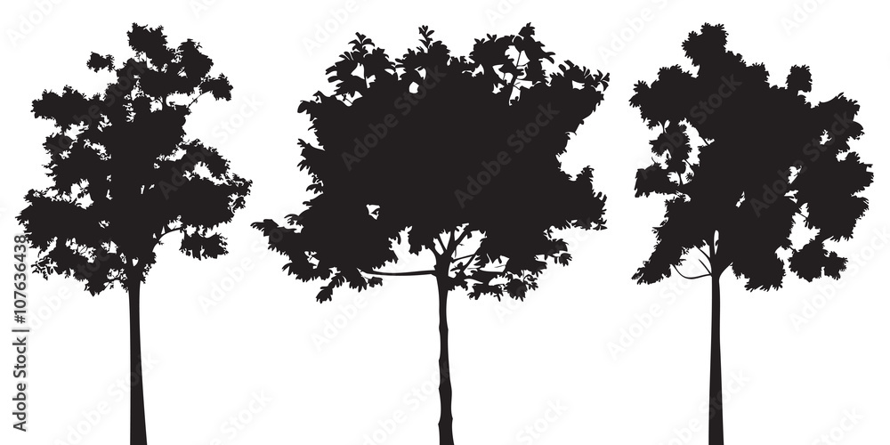 Set of trees vector silhouette Stock Vector | Adobe Stock