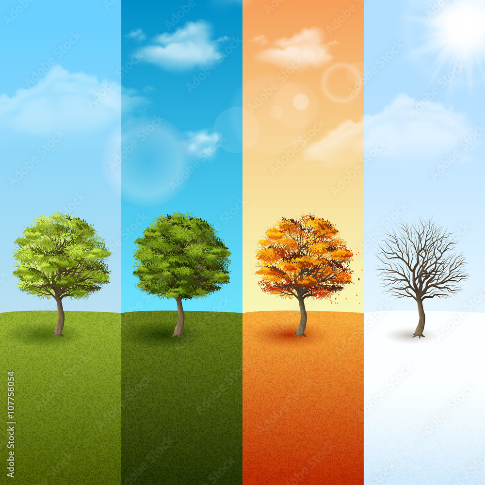 Photo & Art Print Four season tree banner set, Macrovector