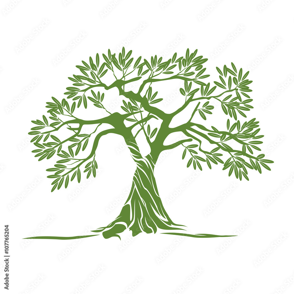 Vector Color Olive Tree. Stock Vector | Adobe Stock