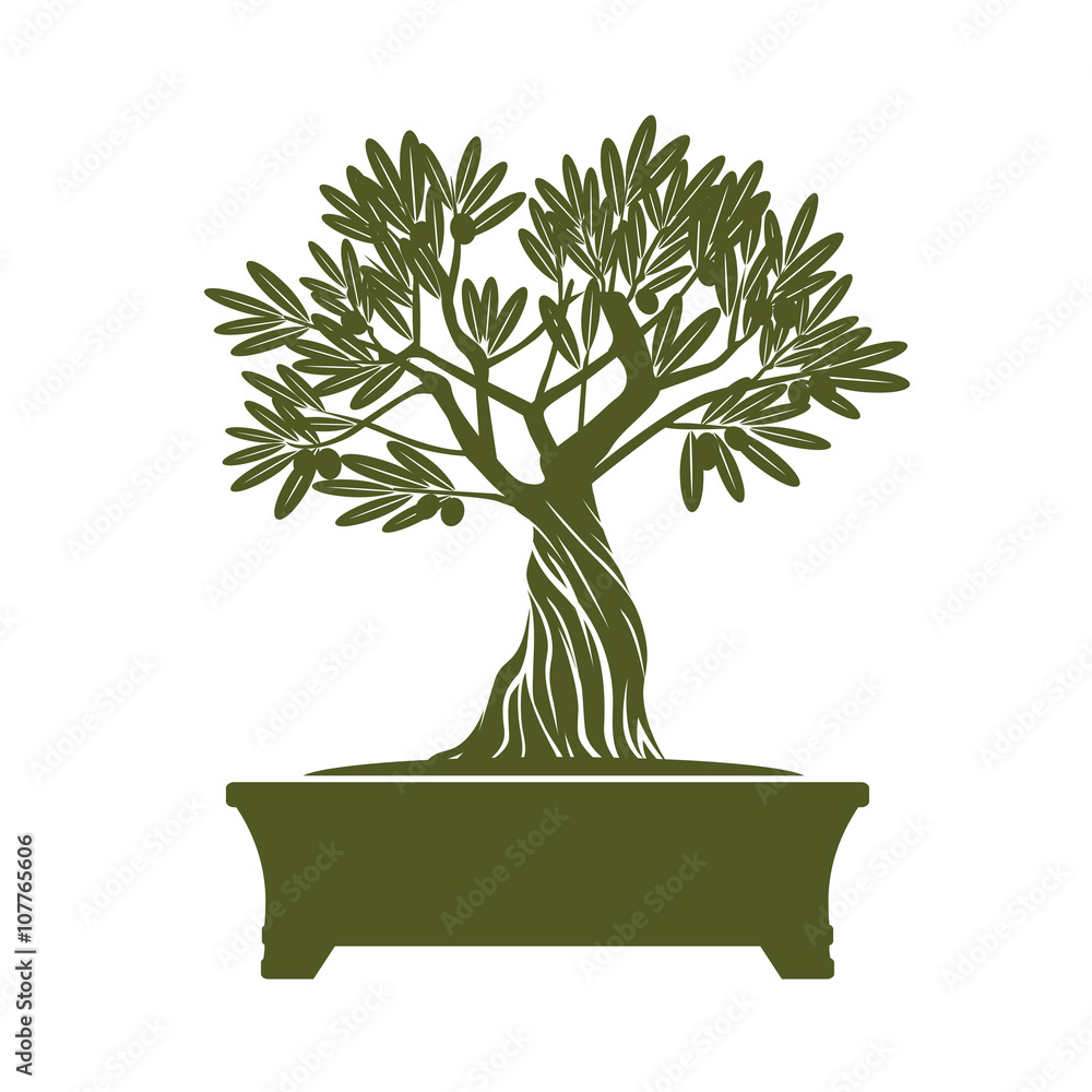 Green Vector Olive Tree. Illustration of Bonsai. Stock Vector | Adobe Stock