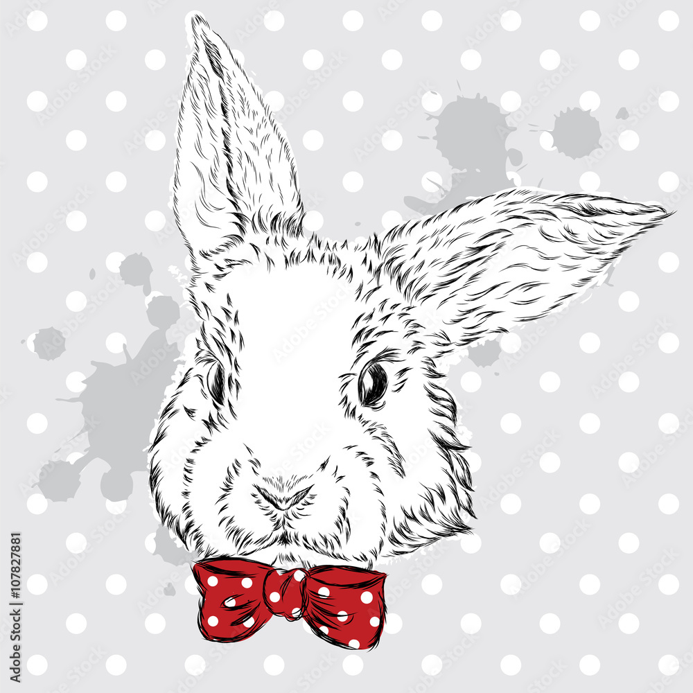 Vintage Rabbit Drawing