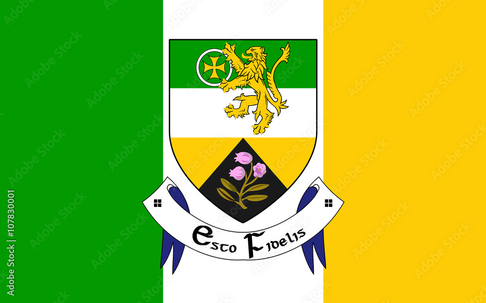 Flag of County Offaly is a county in Ireland Stock Illustration | Adobe ...
