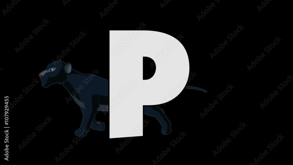 Letter P and Panther (background) Animated animal alphabet. HD footage ...