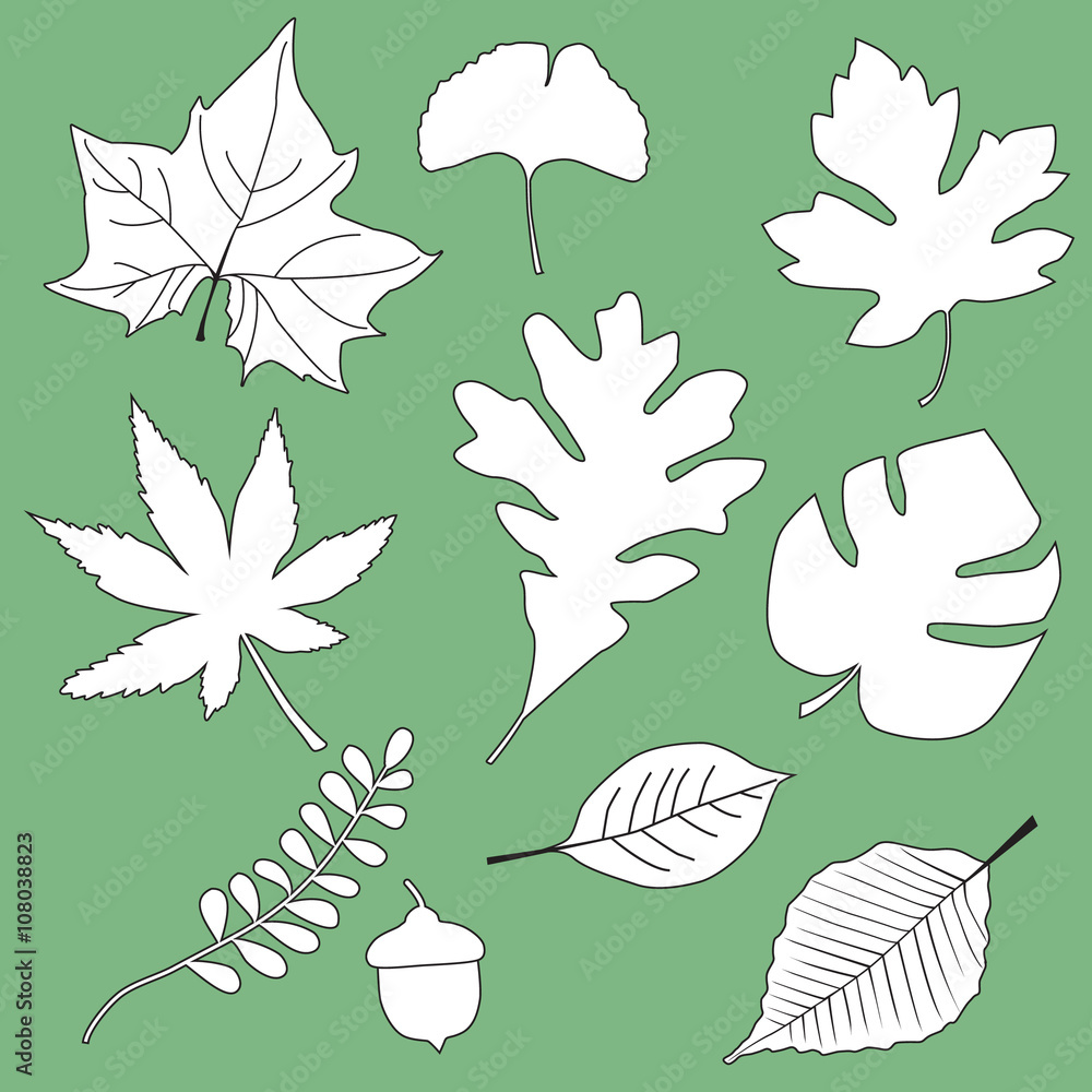 Leaf Shapes Clip Art