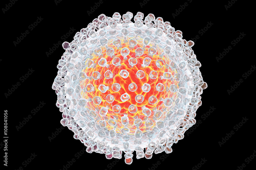 Hepatitis C virus model isolated on black background, 3D illustration ...